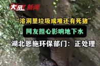溶洞里垃圾成堆还有死猪 网友担心影响地下水 湖北恩施环保部门：正处理_腾讯新闻