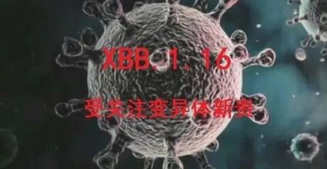 XBB.1.5，XBB.1.9.1，还是XBB.1.16，谁将成我国二波流行的推手？_腾讯新闻