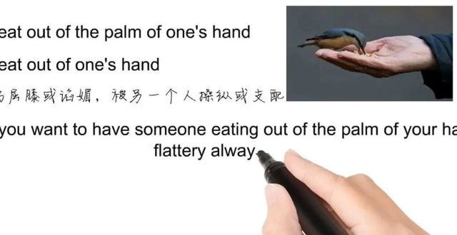 Jason：英语思维解密，为什么eat out of the palm of one's hand意为被另一个人操纵_腾讯新闻