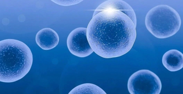 【Adv. Sci.】川大华西高会乐教授团队发文：为PD-L1治疗策略提供新视角_腾讯新闻