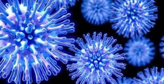 PLOS PATHOG｜浙江大学周继勇课题组揭示TRIM21通过泛素化依赖性降解M1限制甲型流感病毒复制_腾讯新闻