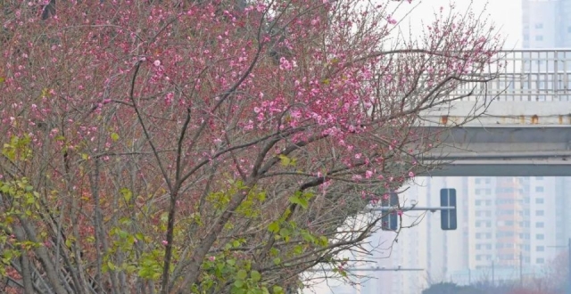 关好门窗！关好门窗！陕西发布灾害性天气预报！_腾讯新闻