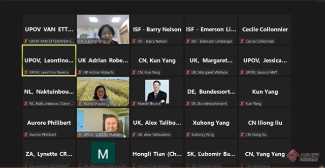 云南省农科院质标所在UPOV工作组会议上报告图像分析在DUS测试中的应用研究成果_腾讯新闻
