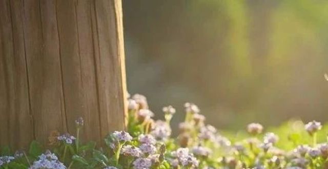 简化 Java 应用的升级：Eclipse Migration Toolkit for Java（EMT4J）_腾讯新闻