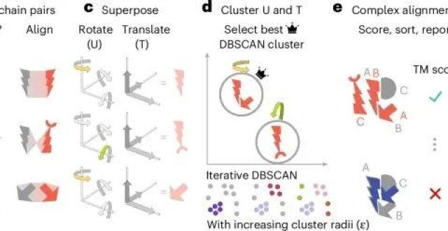 Nature Methods | 蛋白质复合物研究的新利器：Foldseek-Multimer_腾讯新闻