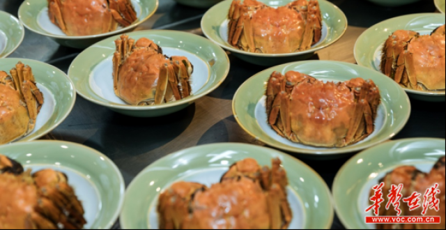 首届湖南洞庭禛农大通湖大闸蟹品鉴会在长沙举行_腾讯新闻