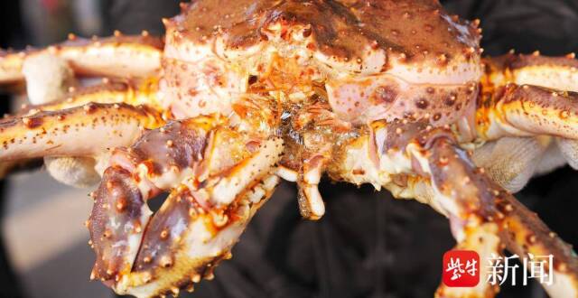 来自俄罗斯，连云港港首次整船进口帝王蟹_腾讯新闻