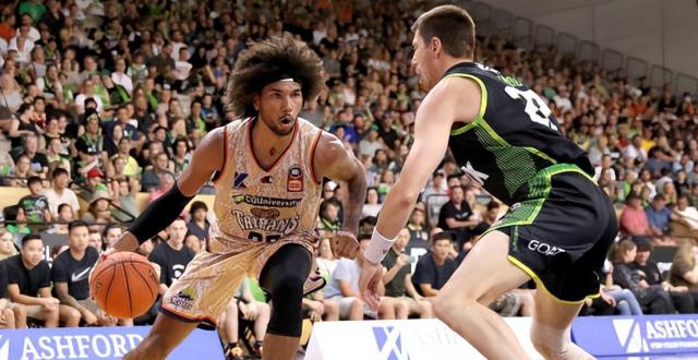 大手笔补强！曝NBL顶级内线登陆CBA，场均16分7板或改变争冠格局_腾讯新闻