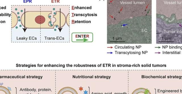 Science Bulletin | 增强转胞吞滞留效应（ETR effect）_腾讯新闻