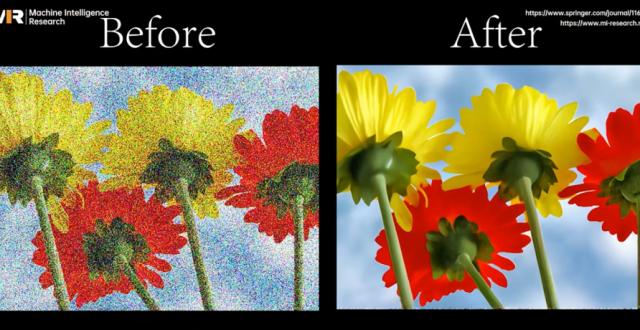 90s解读AI | Luc Van Gool团队: 通过Swin-Conv-UNet和数据合成实现实用图像盲去噪_腾讯新闻