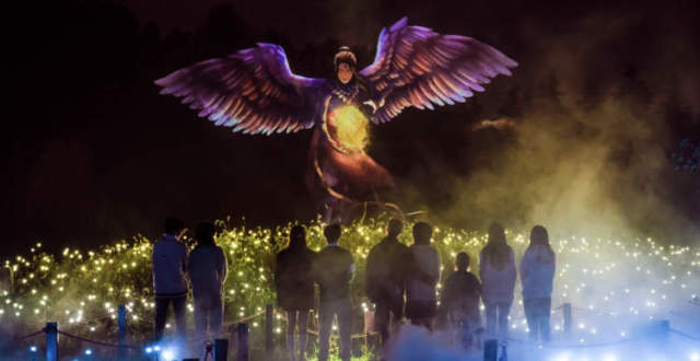 焕光森林的探险之旅！快带上一家老小，来一场沉浸式光影奇妙夜吧！_腾讯新闻