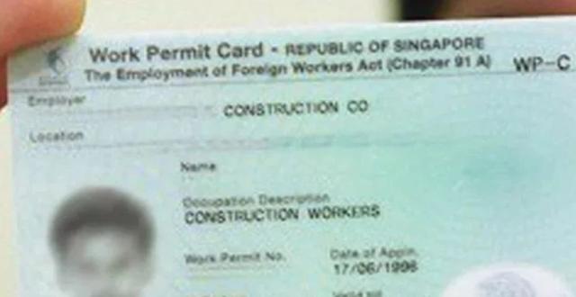 割掉EP、SP、WP工作证后，还能在新加坡待多久？_腾讯新闻