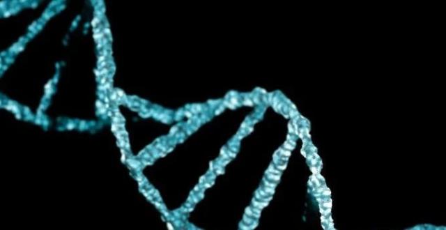 中日友好医院翟振国团队iScience：揭示RNA在小鼠静脉血栓模型中的作用 | Cell Press论文速递_腾讯新闻