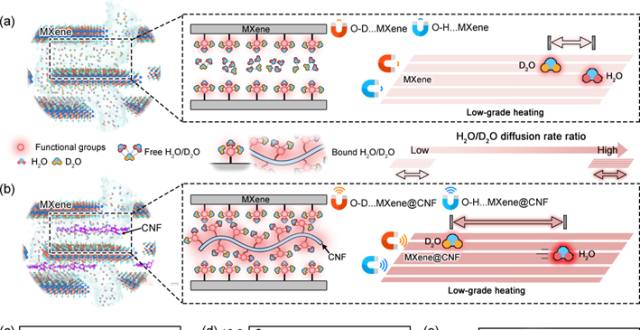 浙理工姚菊明教授、吴铭榜副研究员/浙大张超研究员《AFM》：高效氘水分离膜_腾讯新闻