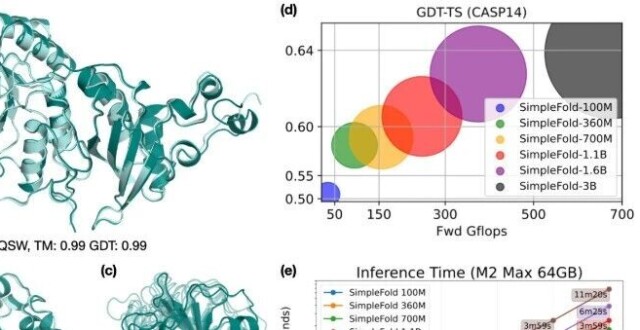 让模型直接“画”出蛋白质折叠，苹果推出SimpleFold通用预测模型，对标AlphaFold2_腾讯新闻