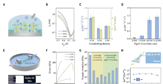 水凝胶半导体材料问世，有望用于生物集成电路_腾讯新闻