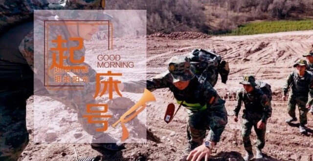 起床号 | 像毛竹一样扎根成长，历经岁月磨砺，刻画坚实的年轮_腾讯新闻