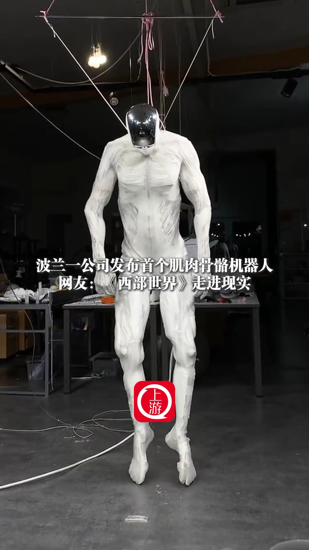 波兰公司Clone Robotics发布#可双足行走的肌肉骨骼机器人protoclone V1_腾讯新闻