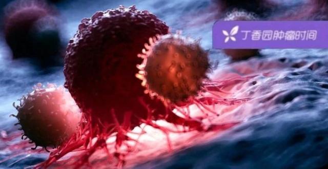 Pan-KRAS 抑制剂 PF-07934040 在国内获批临床_腾讯新闻