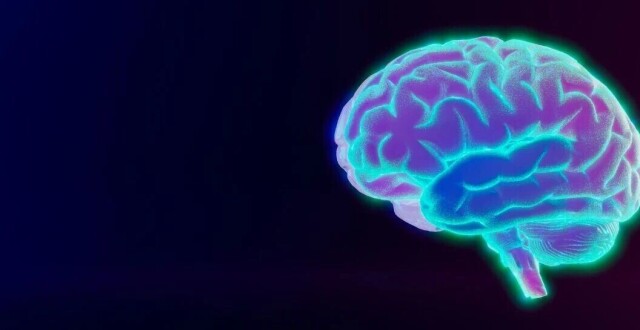 MN：福建医科大学团队揭秘tau蛋白致认知障碍的新机制，逆转SUMO化或可有效改善病理_腾讯新闻