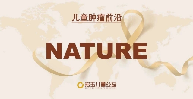 Nature ｜ CAR-T治愈白血病的关键，和这种T细胞亚型密切相关！_腾讯新闻
