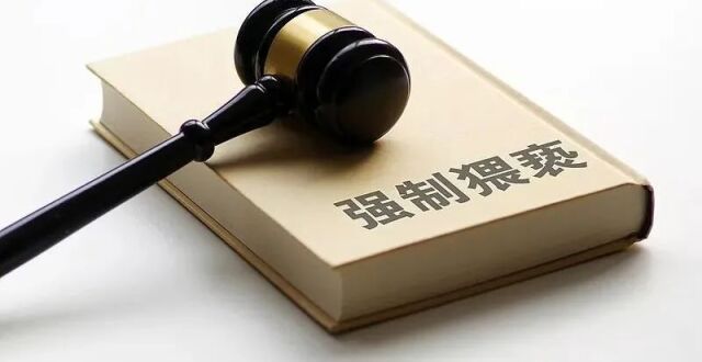 出租车司机凌晨强制猥亵16岁女孩，未被刑事立案！最新进展_腾讯新闻