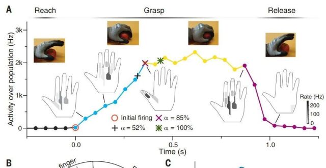 中国青年学者联手，最新Science：仿生触觉传感器！_腾讯新闻