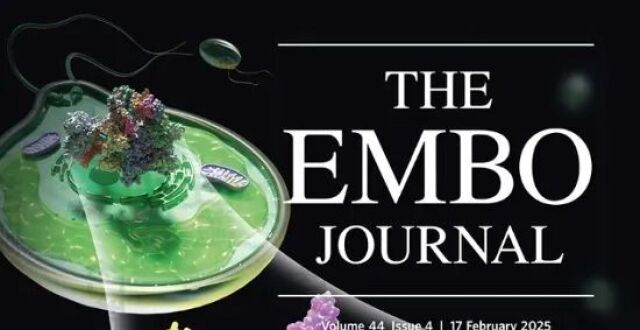 2025年中科院期刊分区表发布，EMBO Press 四本期刊均位于1区！_腾讯新闻
