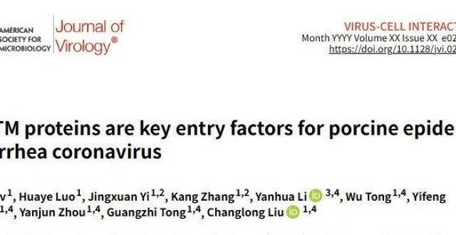 J VIROL | 农科院上兽研刘长龙研究员团队揭示IFITM是PEDV入侵宿主细胞的关键因子_腾讯新闻