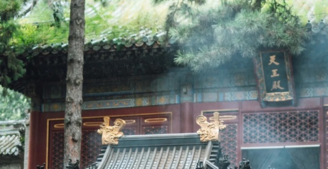 【双语】你好！中国 | 北京第一塔林,终于开放了！_腾讯新闻