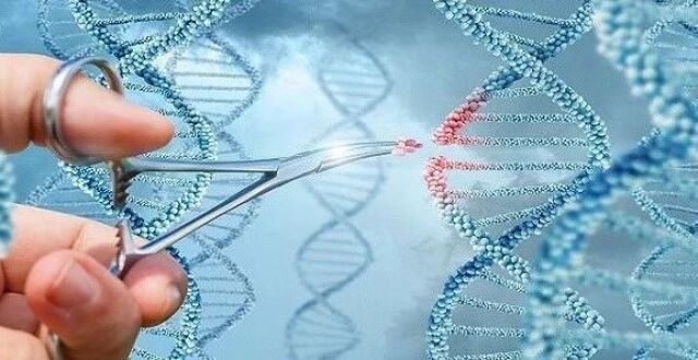 黑科技-超声递送！杨森与SonoThera达成合作，加速超声引导非病毒基因治疗平台的开发_腾讯新闻