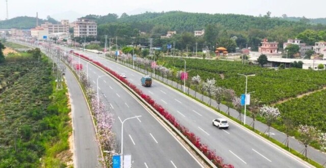 畅通“幸福路”“振兴路”！鹤山多条重点道路提质升级！_腾讯新闻