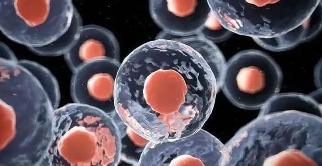 外泌体-小核酸药物新进展，瞄准29亿美元市场！NurExone宣布ExoPTEN的临床前研究中期积极结果_腾讯新闻