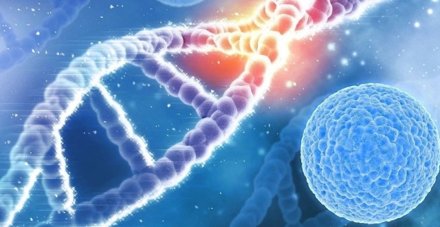 “类器官之父”Hans Clevers团队Science发文，揭示类器官+CRISPR双炸组合破解肠道内分泌细胞的调控密码_腾讯新闻