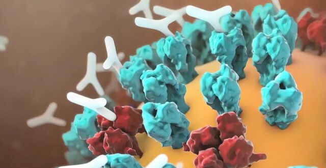 一文了解，抗Sm抗体的特征与价值 | 临床必备_腾讯新闻