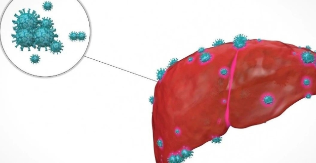 潜藏在精子中的神秘杀手？PLoS Pathog | 戊肝或许会通过性传播发生感染！_腾讯新闻