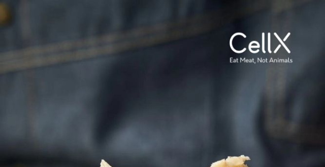 36氪首发丨合成生物学公司“CellX”完成数千万A＋轮融资，千升吨级中试工厂拟于近期运行_腾讯新闻