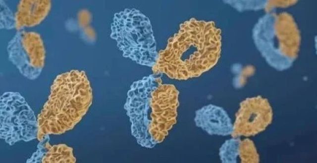 首个针对DLL3表达肿瘤的三抗：泽璟制药ZG006的临床试验申请获得FDA批准_腾讯新闻