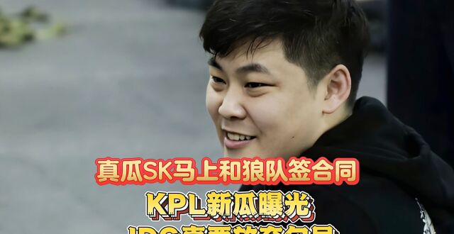 Cat夏季赛确定复出，大帅要成AG替补？KPL新瓜曝光：风箫去了KSG_腾讯新闻
