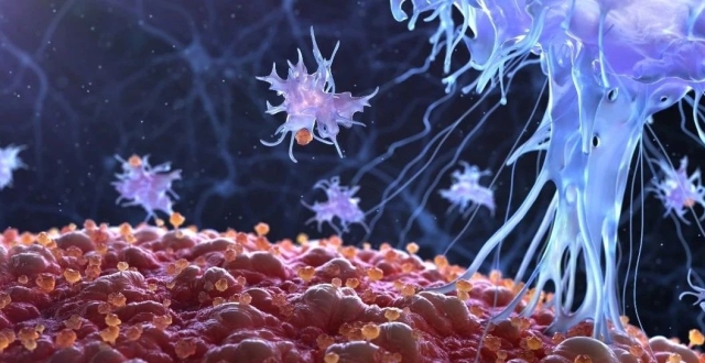 《免疫学》：科学家找到肿瘤召唤调节性T细胞入瘤促癌的关键因子_腾讯新闻