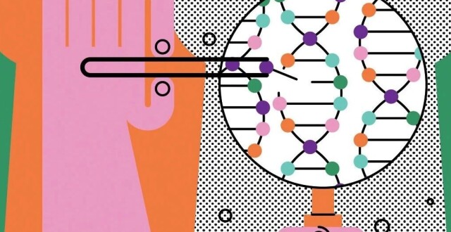寻找智能的终极收敛：Neuron顶刊提出大脑与AI的统一记忆框架_腾讯新闻