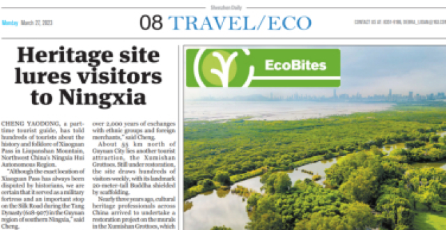 “外眼”再看深圳生态！英文《深圳日报》推出“EcoBites”专栏_腾讯新闻