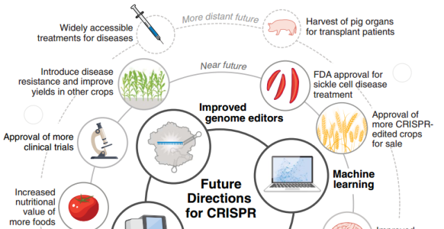 《科学》：诺奖得主解读 CRISPR 的十年_腾讯新闻