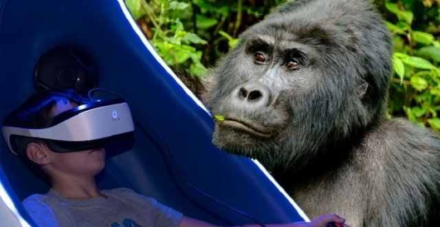 VR 纪录片《GORILLA TREK》获 2023 年_腾讯新闻