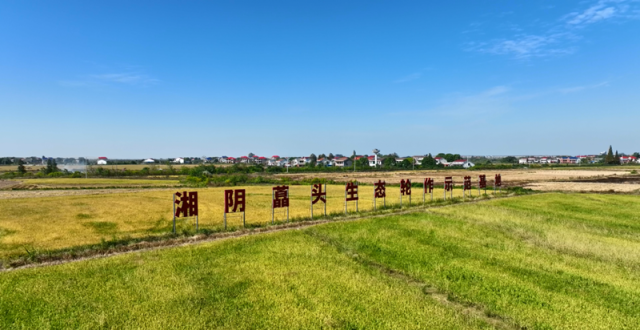 6月11日，湘阴“藠（jiào）”你去品美食_腾讯新闻
