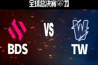 【S13全球总决赛】入围赛 BDS vs TW 第三局_腾讯新闻