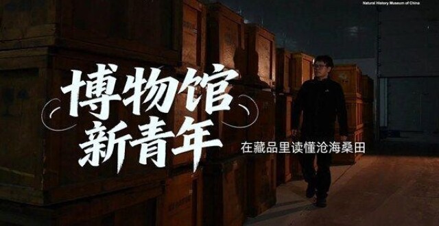 在藏品里读懂沧海沧田｜博物馆新青年_腾讯新闻