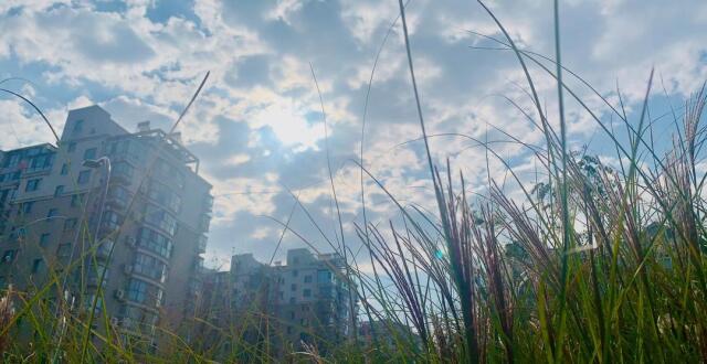 新视界｜济南：白衣苍狗，美不胜收_腾讯新闻