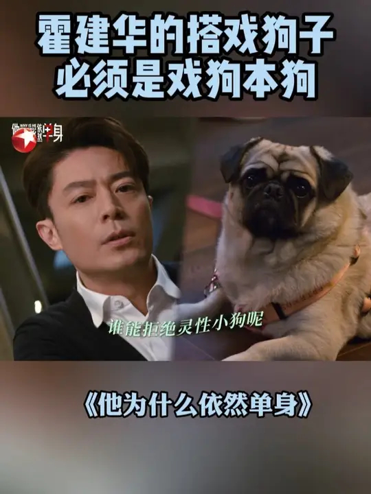 看起来道哥很喜欢和俞老师演对手戏呢_腾讯新闻