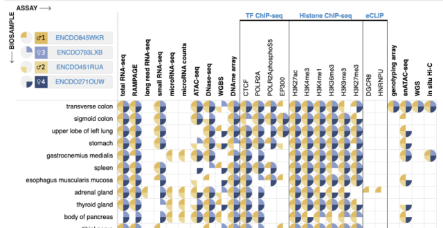 Cell：复旦杨禹丞等合作绘制迄今最大规模个人表观基因组图谱_腾讯新闻